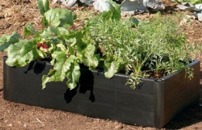 Mini Raised Grow Bed Box Planter Fruit Vegetable Herb Growing Garland ...