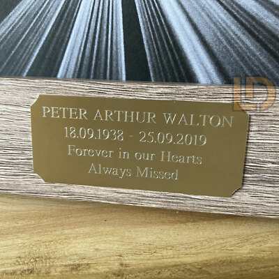 Engraved Trophy Plaques, Plates, Gold - 73 x 32mm, Self Adhesive Times ...