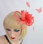 Spring Race Carnival Melbourne Cup Feather Fascinator Headband Clip ...