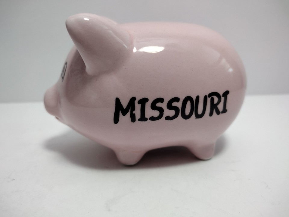 Little Pink Piggy Bank Nothing Special But Those Eyes 👀 & Missouri On ...