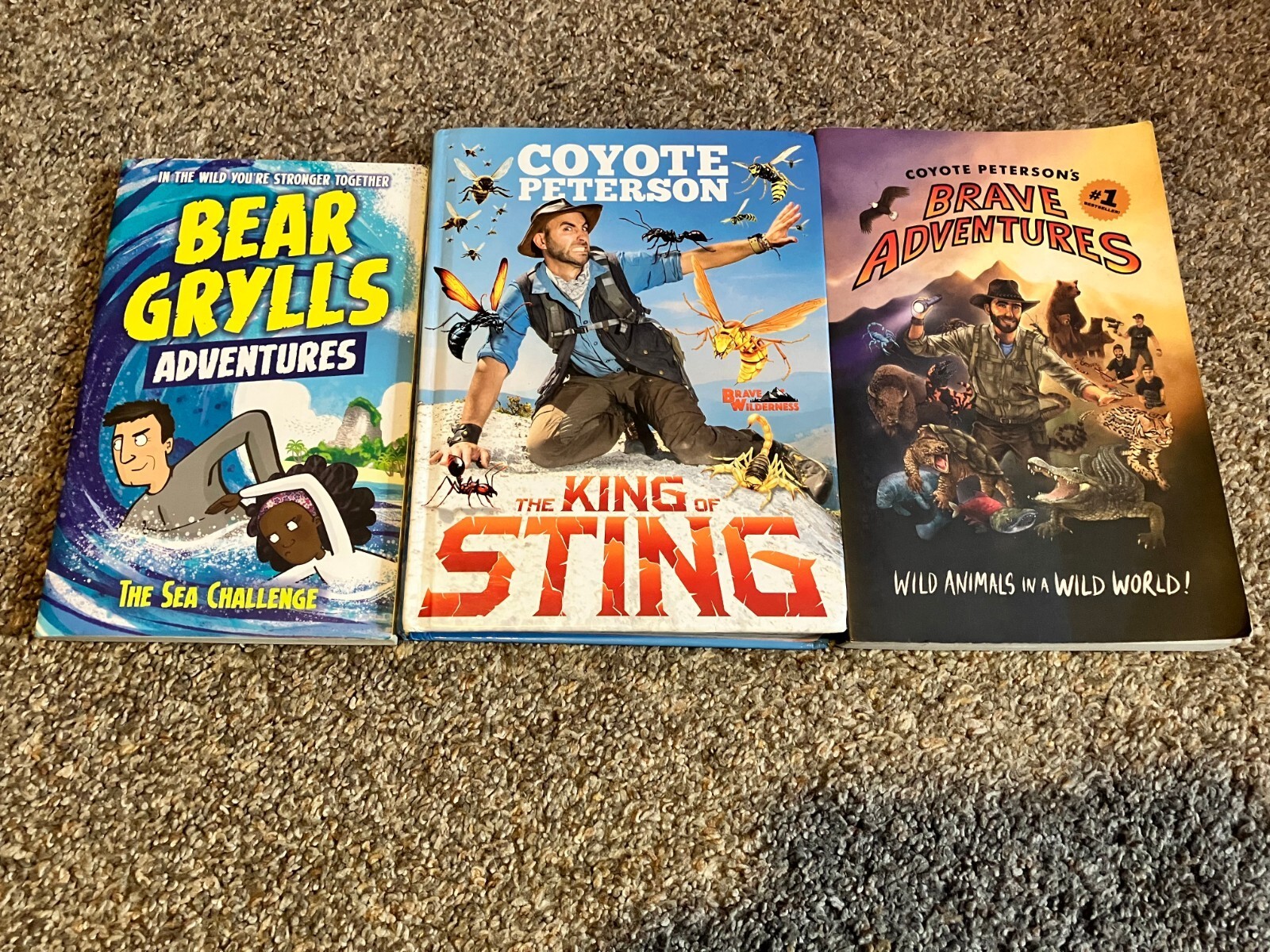 Cool Wilderness and Survival Books for Kids!! Lot of 3 Very ...