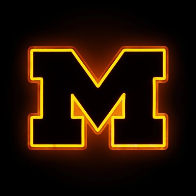 University of Michigan Wolverines LED Neon Light Up Team Logo Sign NCAA ...