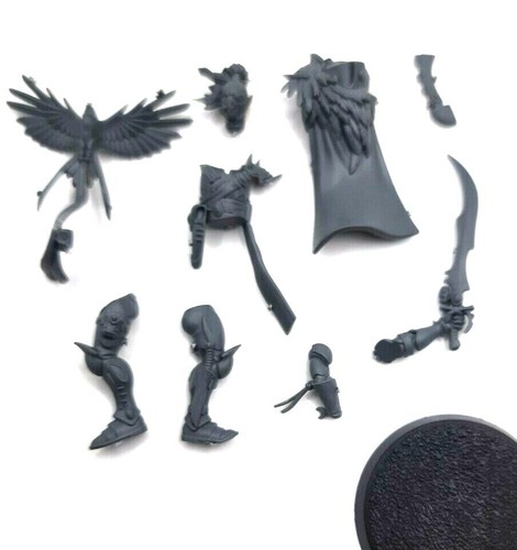40K Corsairs Kurnite Hunter Aeldari Eldar Voidscarred Kill Team Nachmund Falcon. | eBay UK