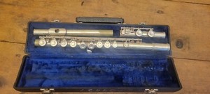 Wild Affinity | eBay Stores