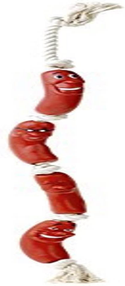 Caldex Classic Vinyl Sausage on a Rope Tug Toy, 660 Mm | eBay UK