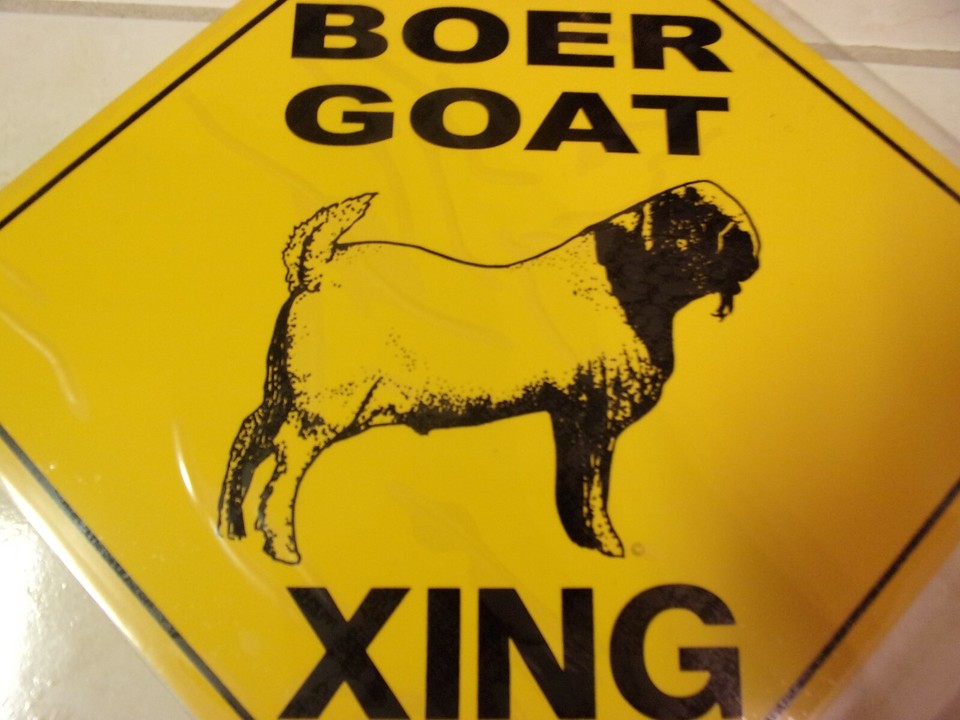 BOER GOAT XING Aluminum Novelty Amber Sign 17" X 17" DIAGONAL SIGN ...
