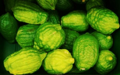 100% Genuine Bangladeshi Jara Lemon Seeds RARE - FREE FAST Shipping ...