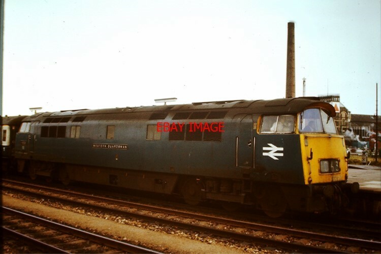 PHOTO (CLASS 52) NO (D)1025 WESTERN GUARDSMAN IN BR RAIL BLUE LIVERY ...
