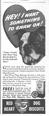 1940 Red Heart Dog Biscuits Vintage Print Ad Boxer Dog Wants To Gnaw On ...