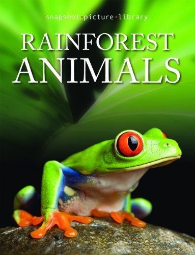 RAINFOREST ANIMALS (SNAPSHOT PICTURE LIBRARY) By Weldon Owen ...