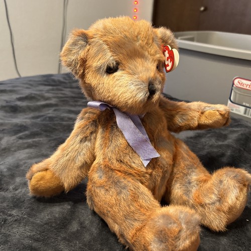 TY Classic 13” 2000 Plush Bear Penny Stuffed Animal Brown Lavender ...
