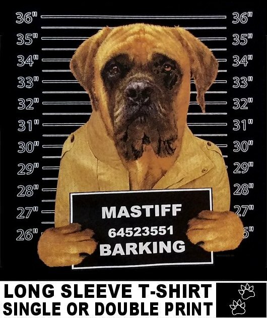 Memes Mastiff