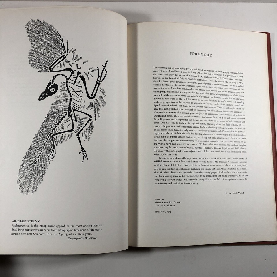 Avifuana Africana 12 Watercolours Of South African Wild Birds | eBay UK