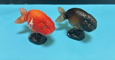 Gacha Capsule Toy Figure Furuta Chocolate Egg Figure Toy Japanese ...