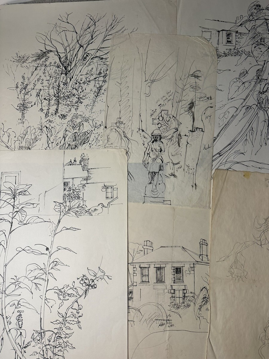 Ink Drawings Of A Garden