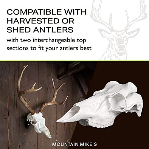 Mountain Mike’s Skull Master European-Style Mount Kit Fits Most Antlers ...