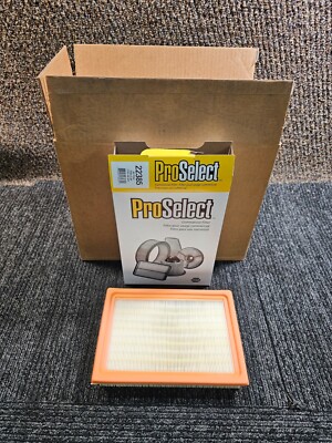 (QTY 6) NAPA 22385 ProSelect Commercial Air Filter Fits PA4163 87385 ...