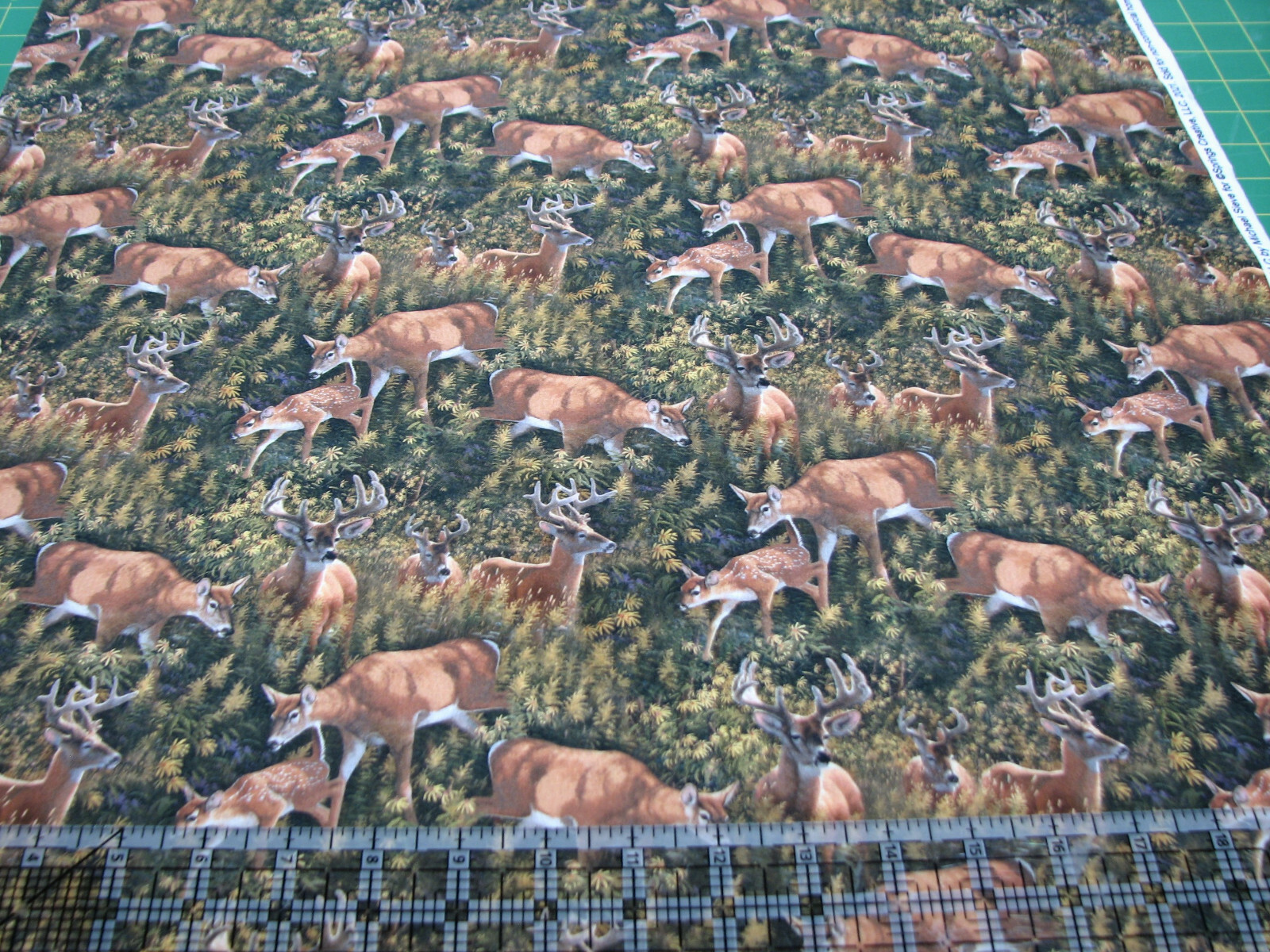 3 Yards Quilt Cotton Fabric - Springs Creative Wild Wings Feast in Wood ...