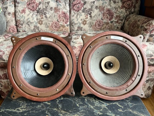Modified RCA 1920s-1930s antique full-range field coil drivers (a pair ...