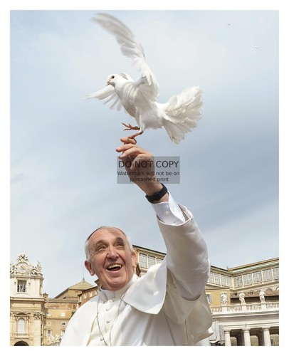 POPE FRANCIS WHITE PIGEON FLYING FROM HIS HAND 8X10 CATHOLIC PHOTO | eBay