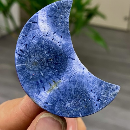 32G Natural and beautiful blue coral carved moon crystal healing | eBay