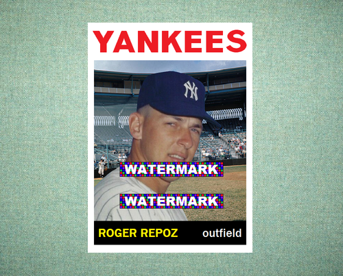 Roger Repoz New York Yankees 1964 Style Custom Baseball Art Card | eBay