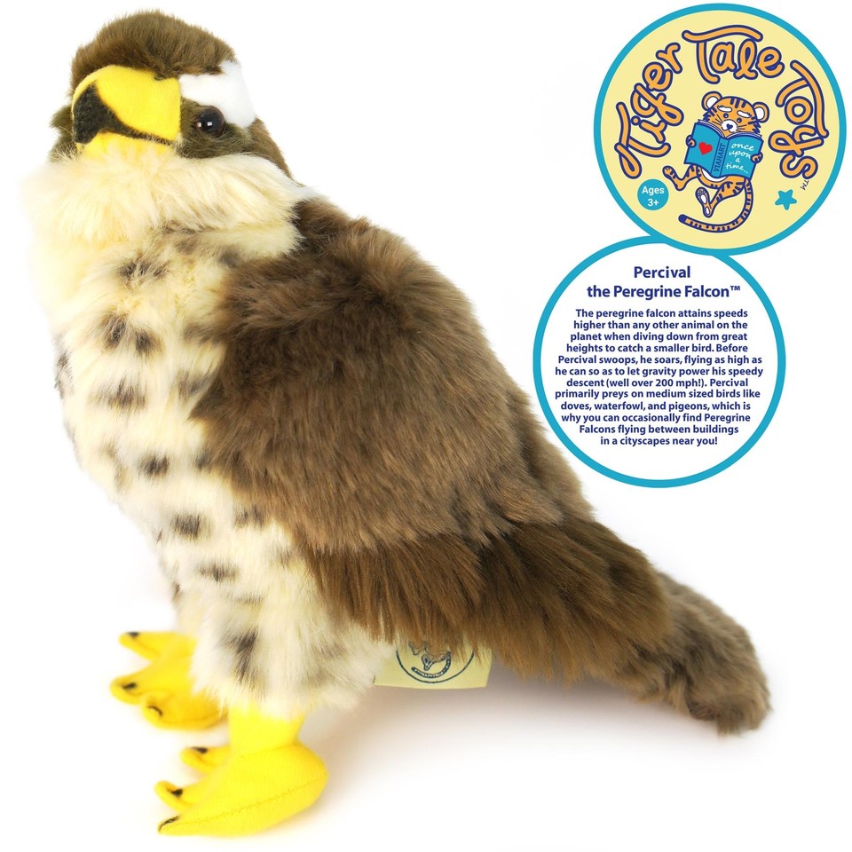 Percival The Peregrine Falcon | 9 Inch Stuffed Animal Plush | By ...