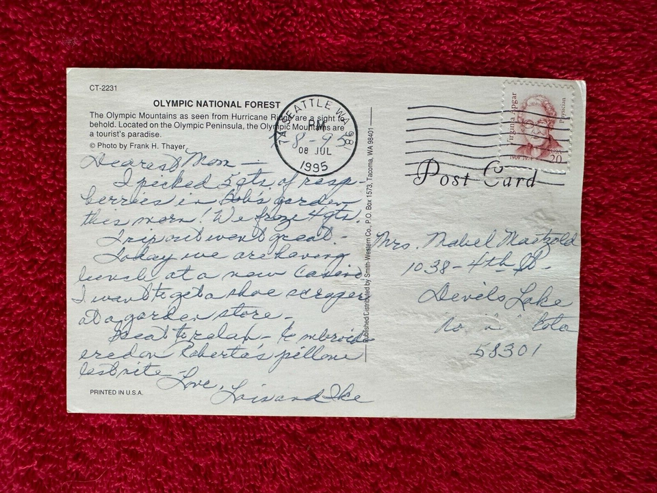 Postcard ~ Hurricane Ridge ~ Olympic National Forest ~ MAILED in 1995 ...