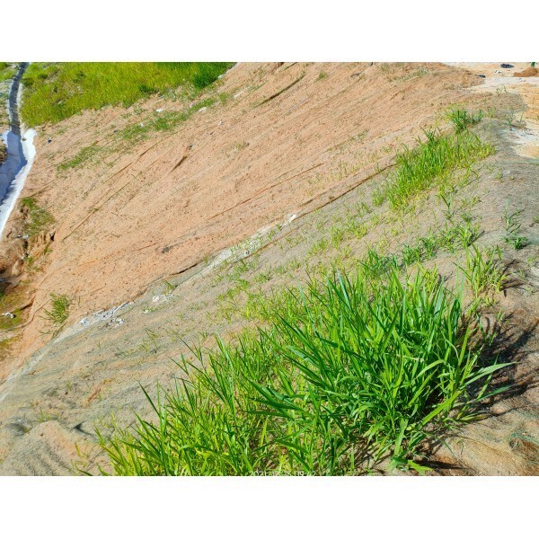 Farm Plastic Supply - Double Net Straw Erosion Control Blanket | eBay