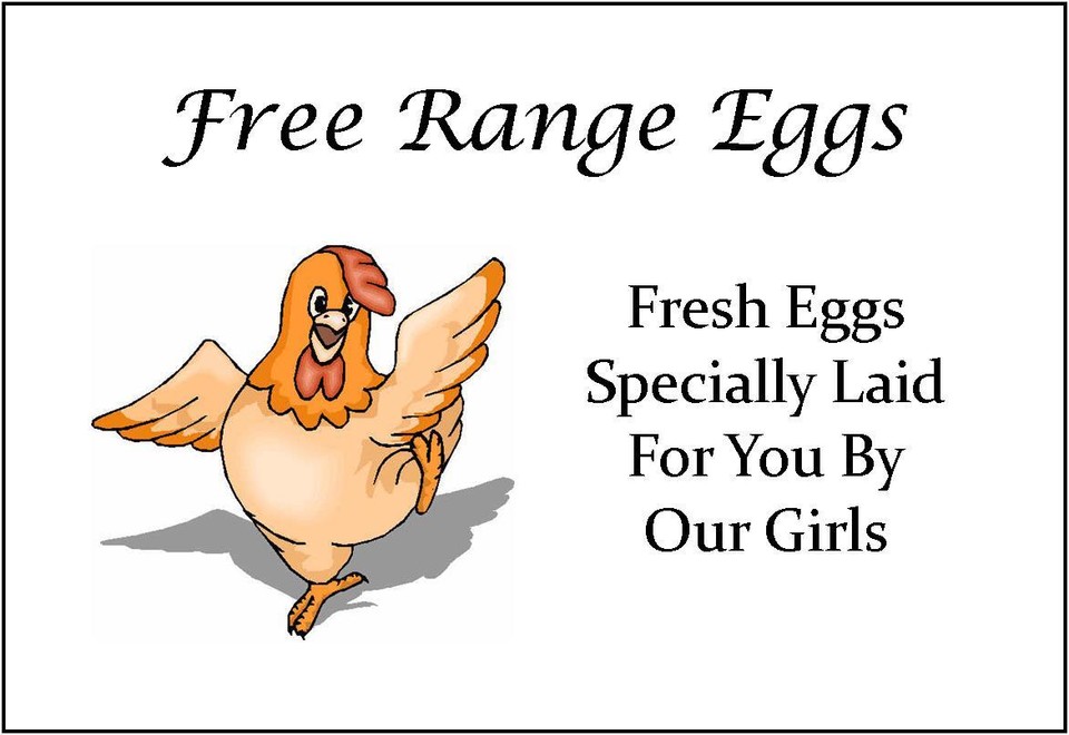 LARGE PERSONALISED CHICKEN HEN EGG BOX LABELS 8 Per Sheet | eBay UK