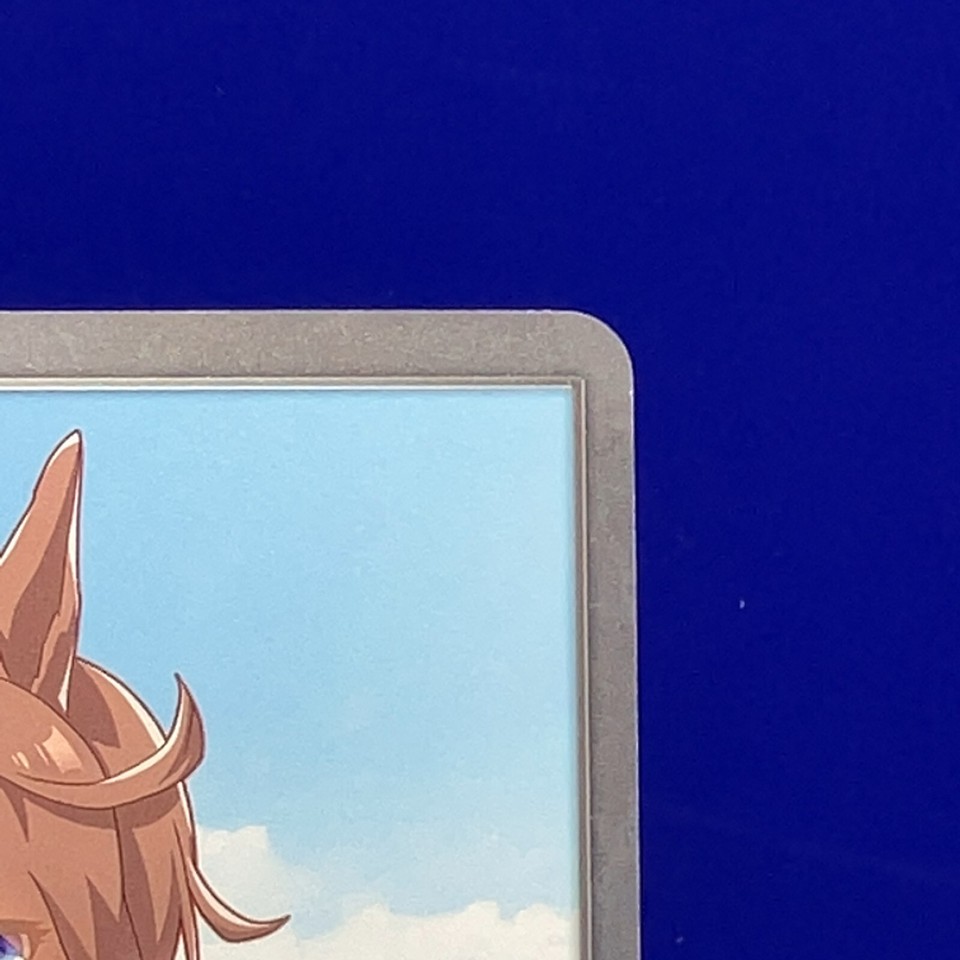 Shadowverse EVOLVE Uma Musume Pretty Derby CSD01-016 Cygames TCG Japanese JPN | eBay