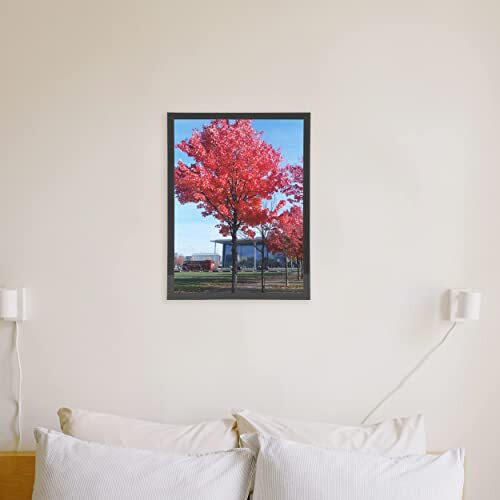 12x16 Inches Picture Frame Poster Frame For Pictures 12x16 Black | eBay