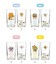 Kakao Friends Signature Somac Cup 255ml 4p Set Korean Soju Beer Glass Mukbang | eBay