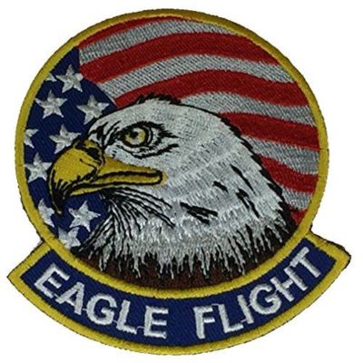 USAF F-15 EAGLE FLIGHT PATCH AIRCRAFT AIR FORCE | eBay