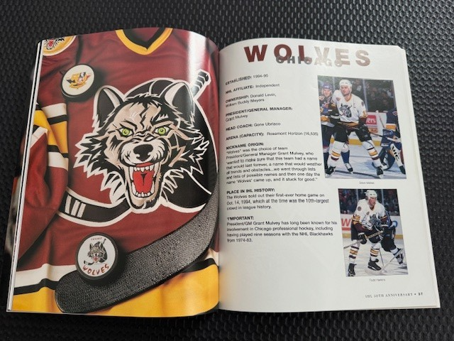 IHL Hockey Book Program Magazine 1995 Golden Moments 50th Anniversary ...
