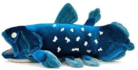 Colorata Coelacanth Plush Ancient Fish Small Size 4.3 X 4.1 Inches (11 ...