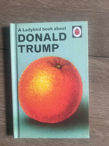 A Ladybird Book Aboout Donald Trump Double Signed 1/1 | eBay