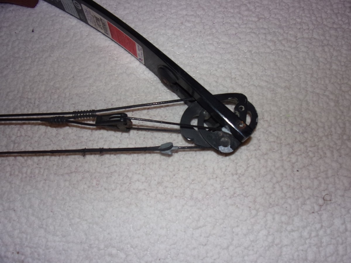 Martin Bobcat Compound Bow