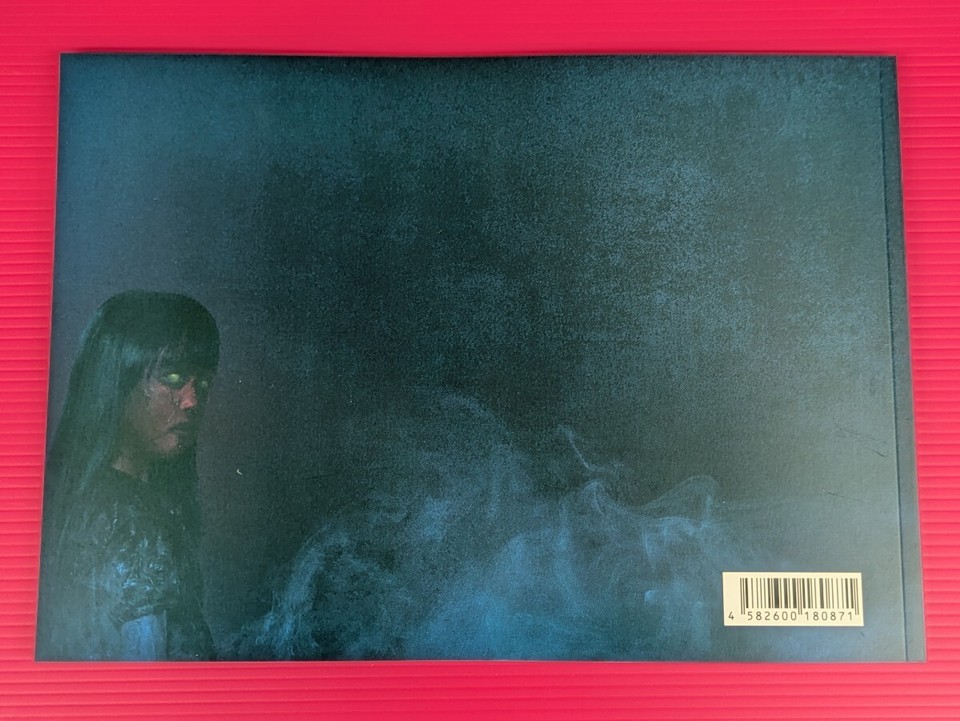 movie pamphlet + flyer Body Search THE LAST NIGHT Kanna Hashimoto ...