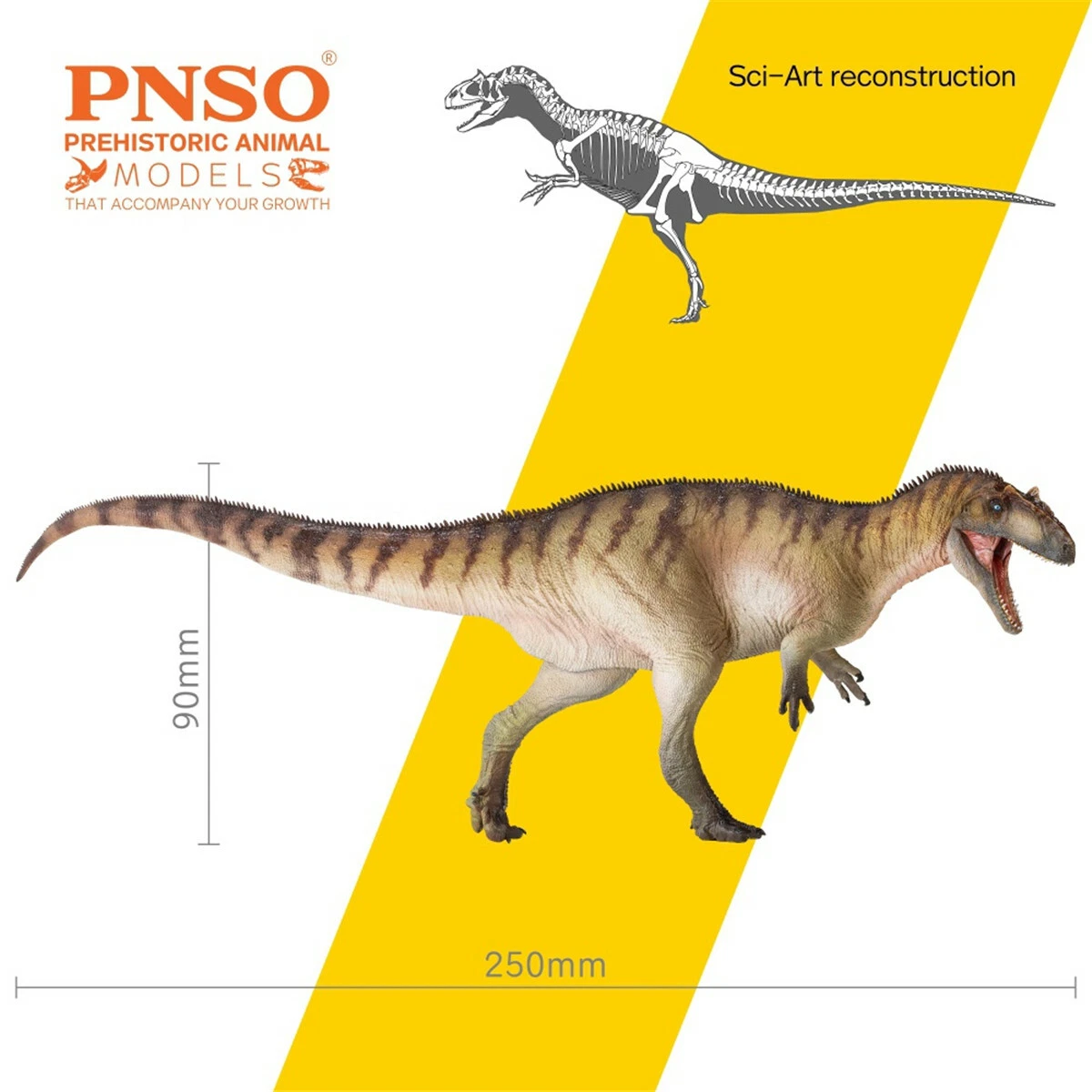 Allosaurus Size