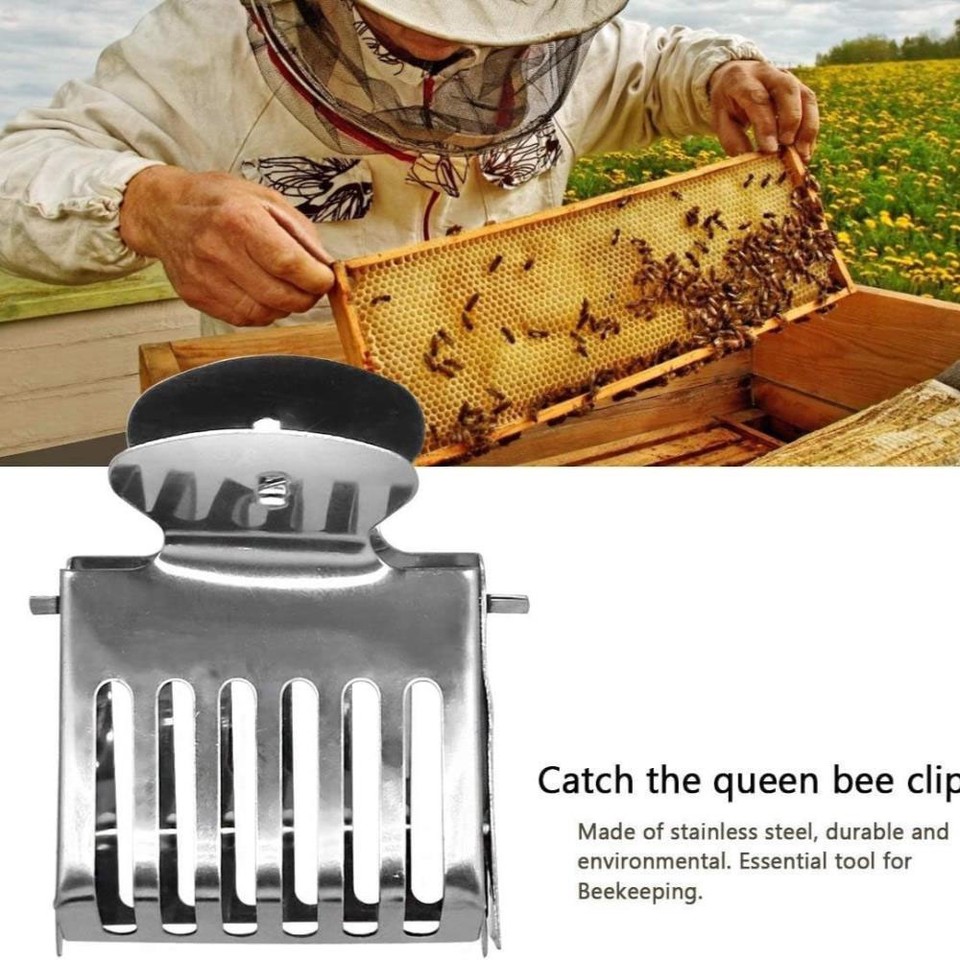 10-Pack Stainless Steel Beekeeping Clip Queen Bee Cage Catcher Bee) | eBay