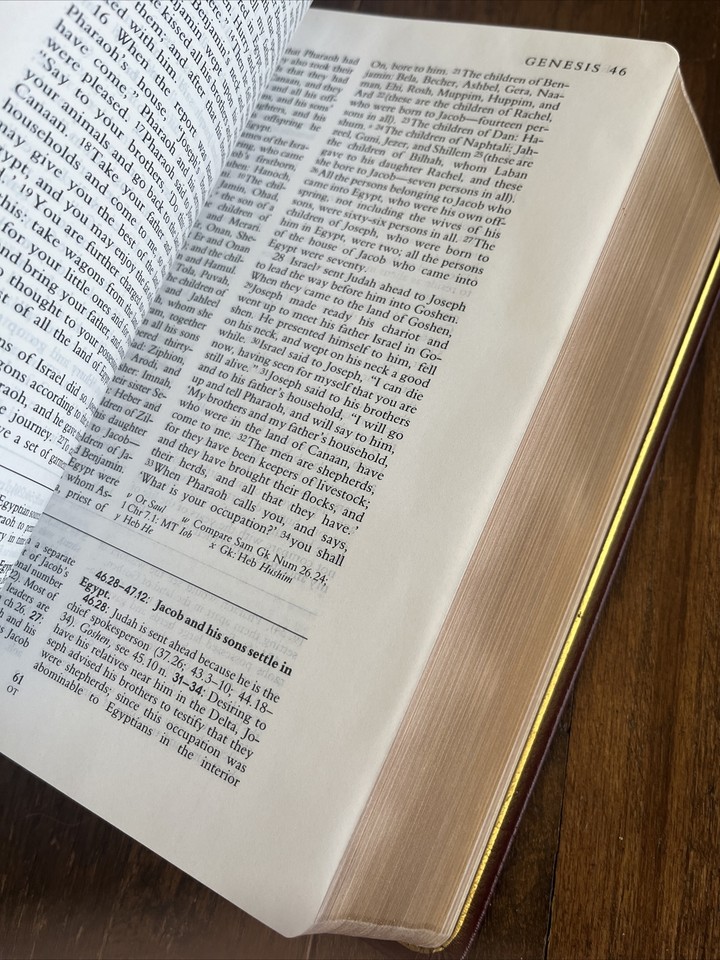 Oxford Annotated Bible with Apocrypha NRSV Genuine Leather 9914A ...