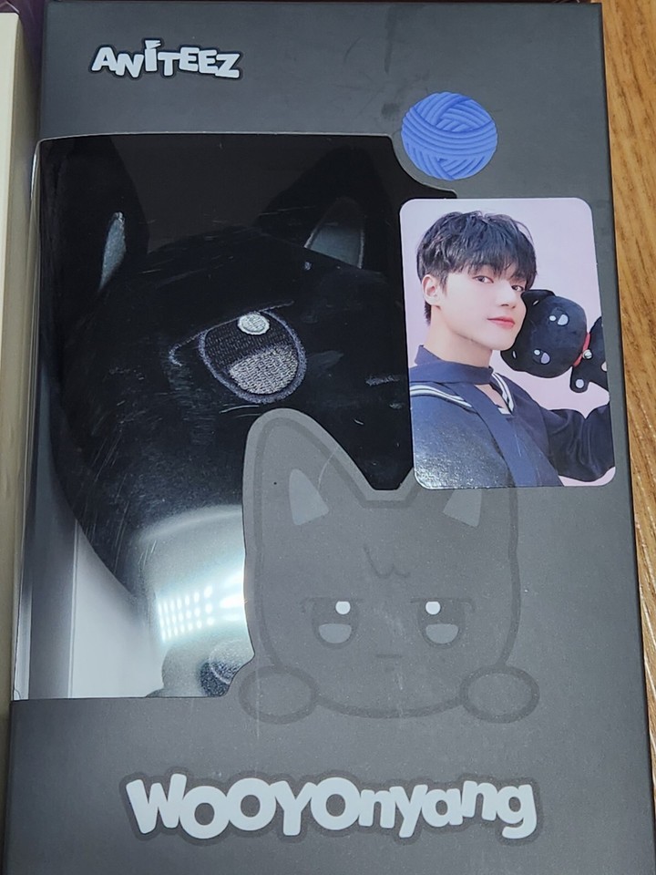 ATEEZ PLUSH DOLL PHOTOCARD ADVENTURE POPUP ANITEEZ IN ILLUSION ...