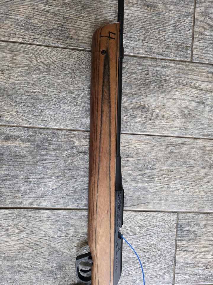 Daisy Avanti co2 Air Pellet Rifle .177 Caliber | eBay