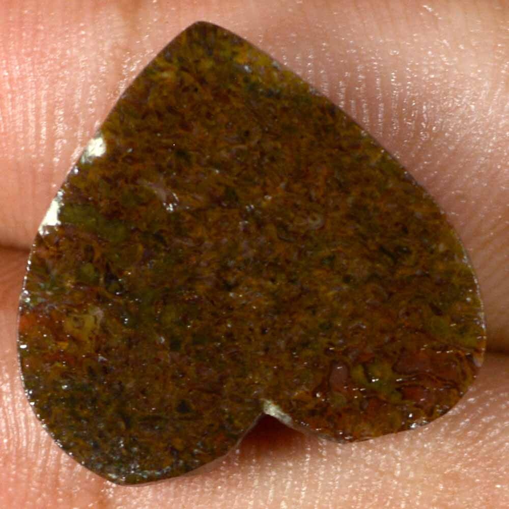 20.90 Cts 100% Natural Excelent Dinosaur Bone Cabochon 20 x 21 mm ...