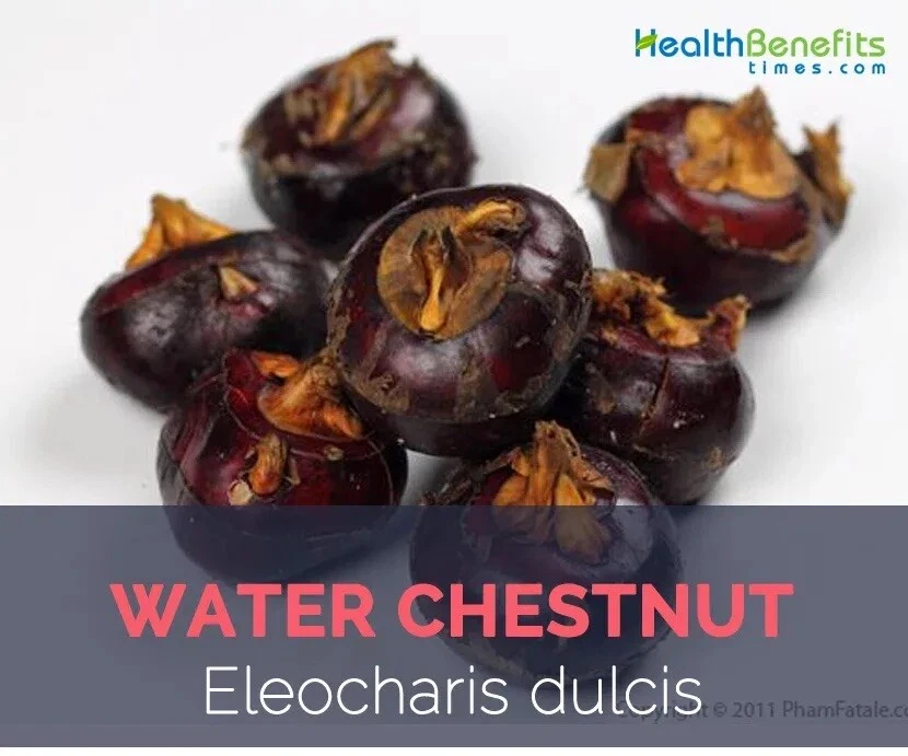 Chinese Water Chestnut