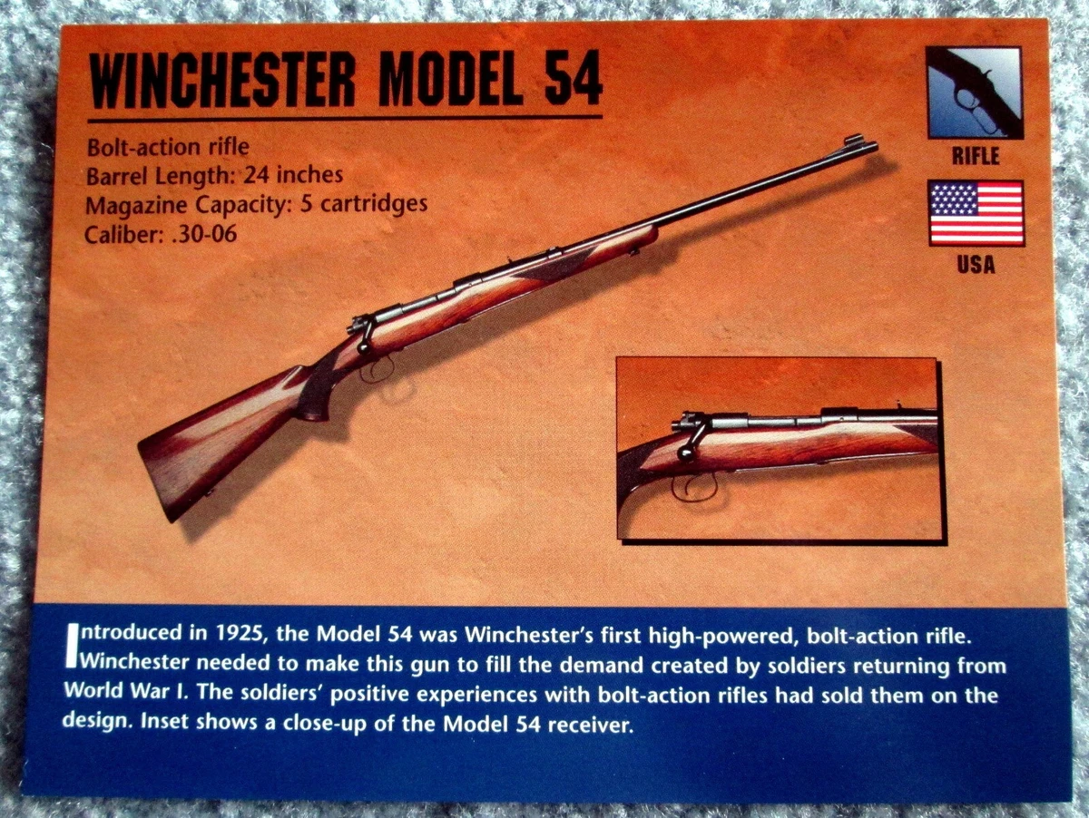 Winchester 54 Rifle