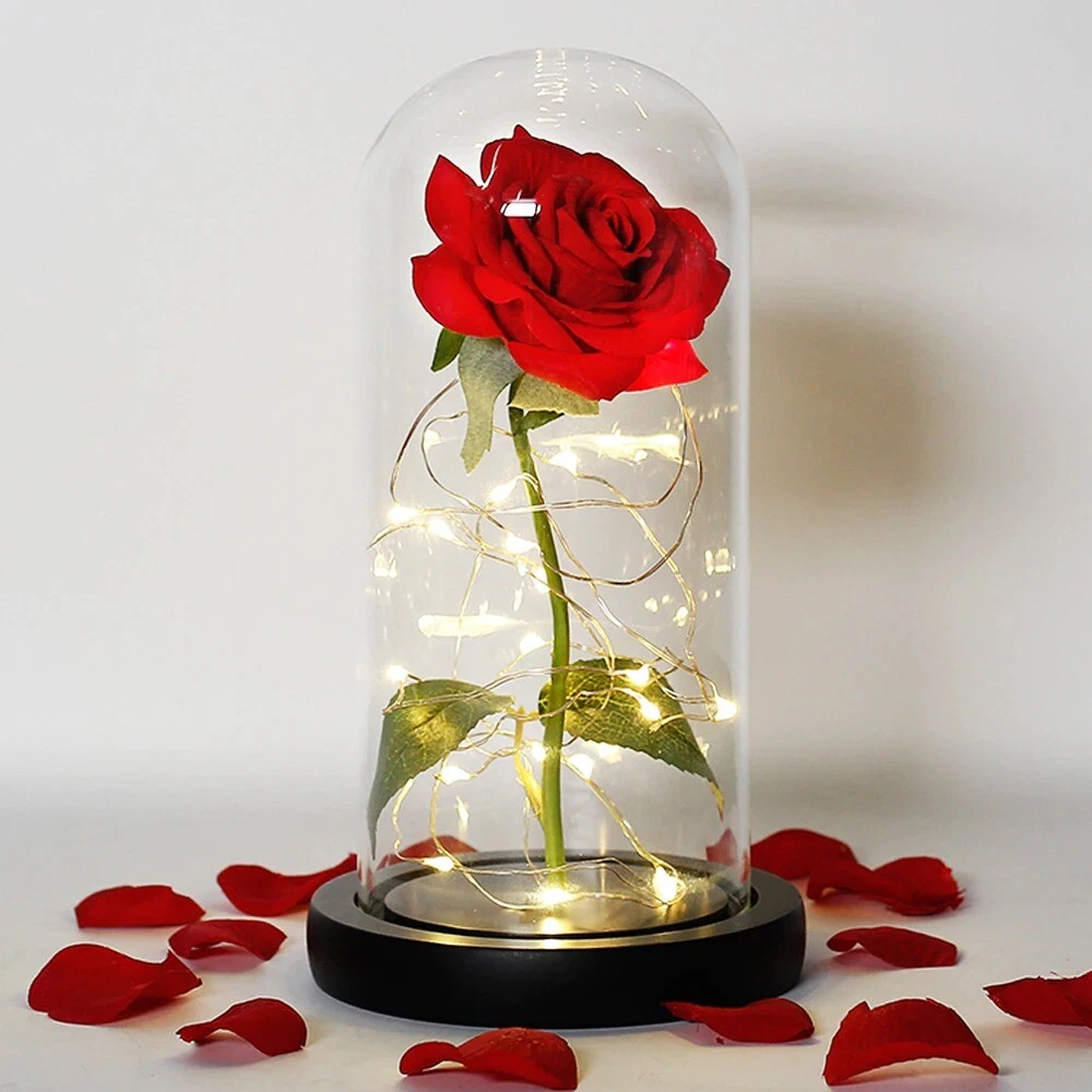 Rose In A Dome
