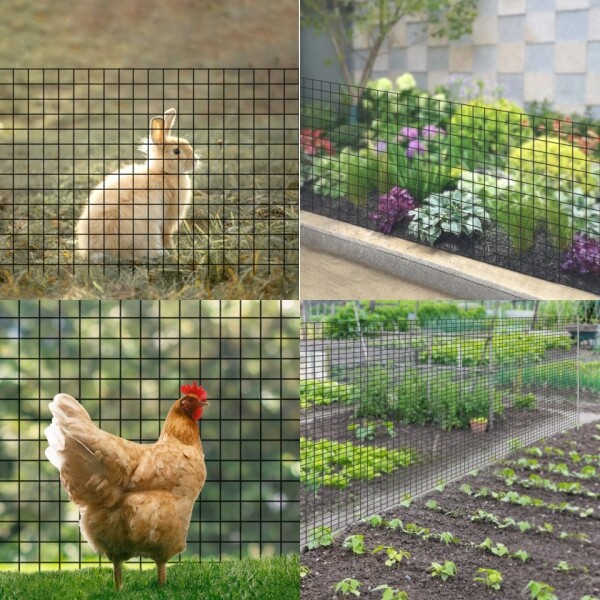 50/100FT 1/2Inx1/2In Hardware Cloth Chicken Wire Fence Vinyl Coated ...