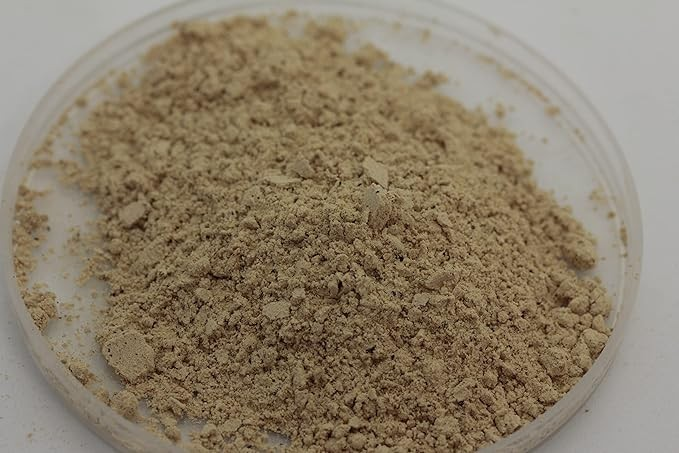 Comet Medaka Food for Newly Hatched Fry - 20 g of Powdered Food for ...